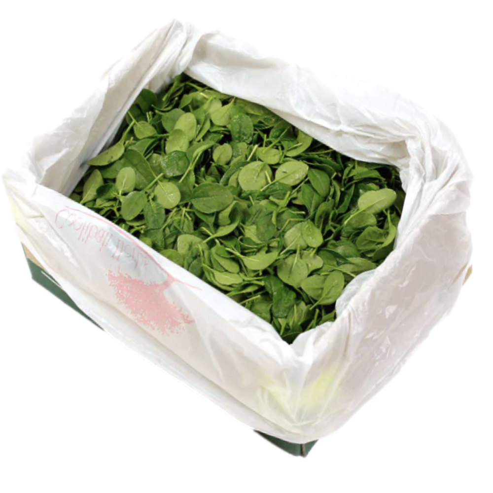 Baby Spinach (1.5kg **BOX**) | I Can Eat A Rainbow