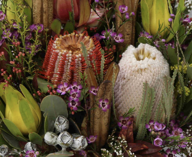 FLOWERS - Natives | I Can Eat A Rainbow