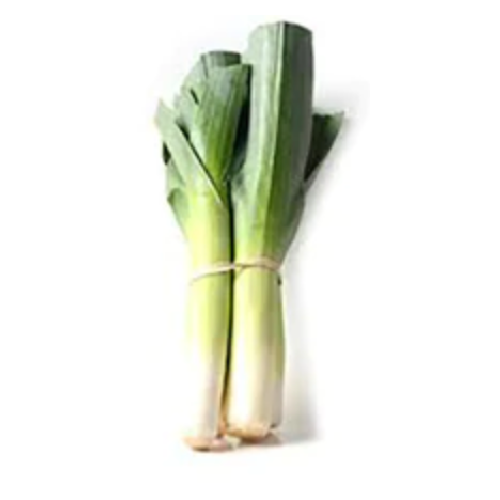 *ORGANIC Leek Each (Foothill/NASSA) | I Can Eat A Rainbow