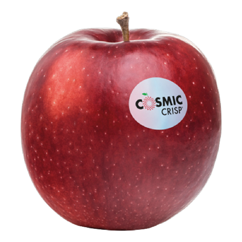 Apple - Cosmic Crisp (Each) | I Can Eat A Rainbow
